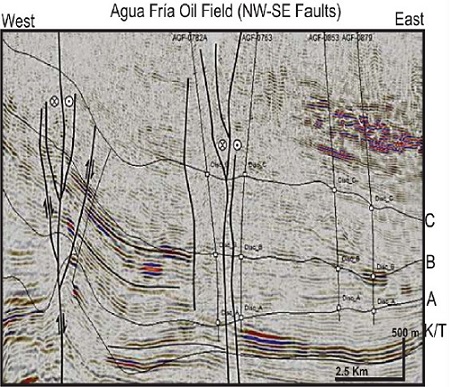 Prograding low-density turbidite systems and oil traps at the Lower ...