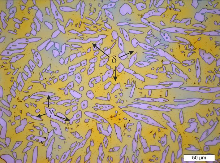 Effect of Annealing Temperature on the microstructure of hyperduplex ...