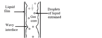 Evaluation of a vertical downward water film thickness using ...
