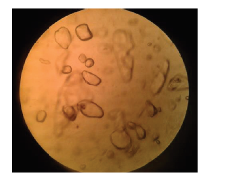 Pectina deshidratada de Passiflora edulis como inhibidor de ...