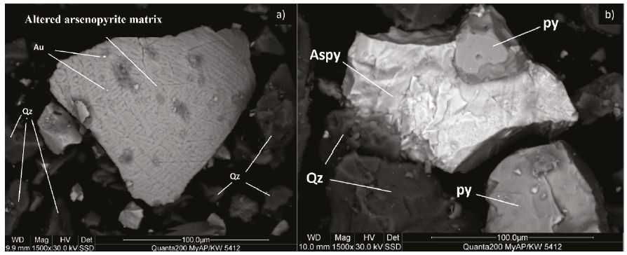 Mineragraphic evaluation for gold recovery