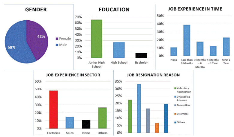Employee profile and labor turnover in outsourcing companies: A data ...