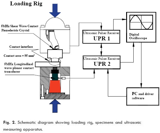 On the Interface Stiffness in Rough Contacts Using Ultrasonic Waves
