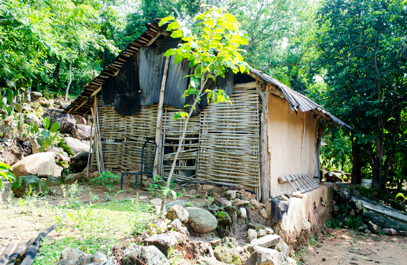 El sistema constructivo de pajarete en la vivienda tradicional del ...
