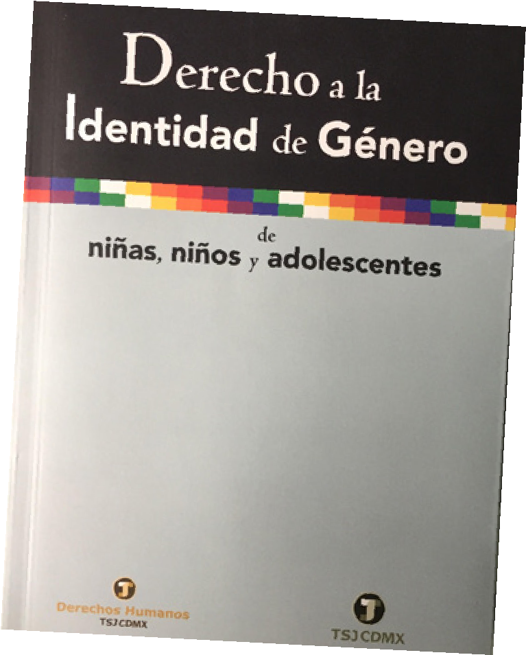 Derecho a la Identidad de Género de niñas, niños y adolescentes