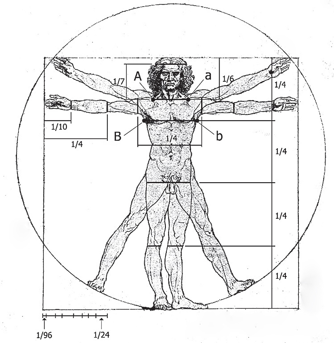 Acordes vitruvianos en Leonardo