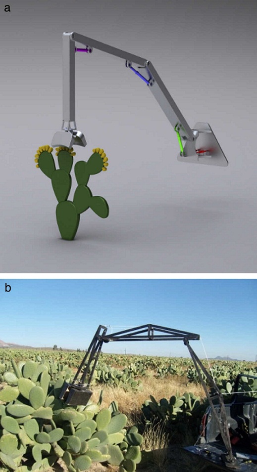 Structural design of a mechanical arm for harvest of cactus pear type ...