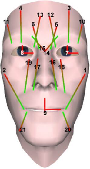 A low cost framework for real-time marker based 3-D human expression ...