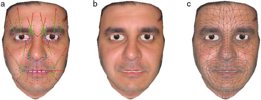 A low cost framework for real-time marker based 3-D human expression ...