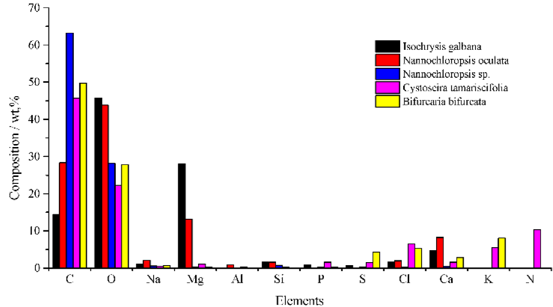 Exploring the prospect of marine microalgae Isochrysis galbana as ...