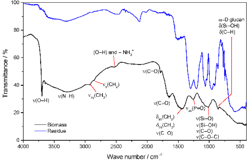Exploring the prospect of marine microalgae Isochrysis galbana as ...