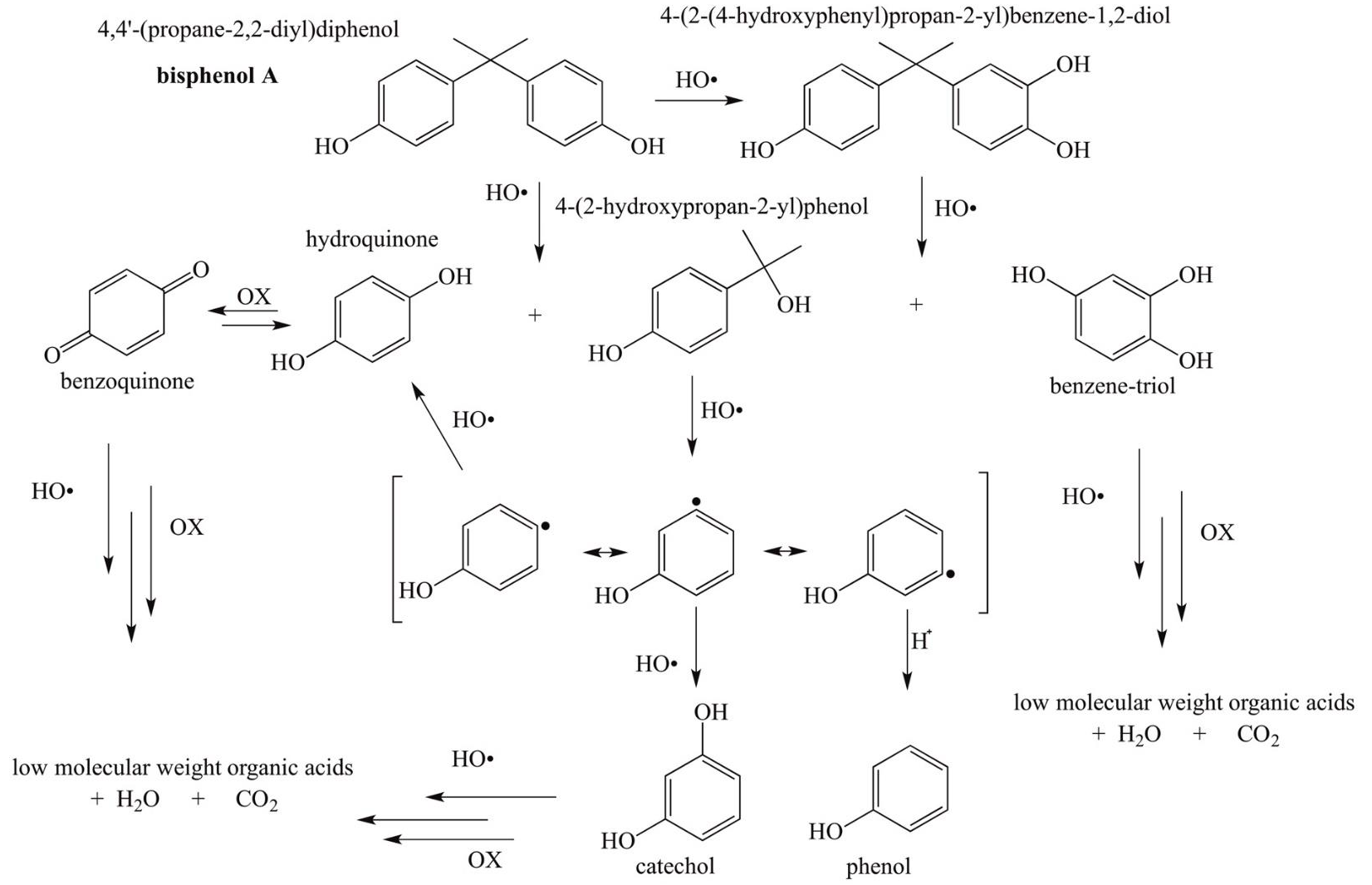 Photocatalytic degradation of Bisphenol A: Kinetic studies and ...