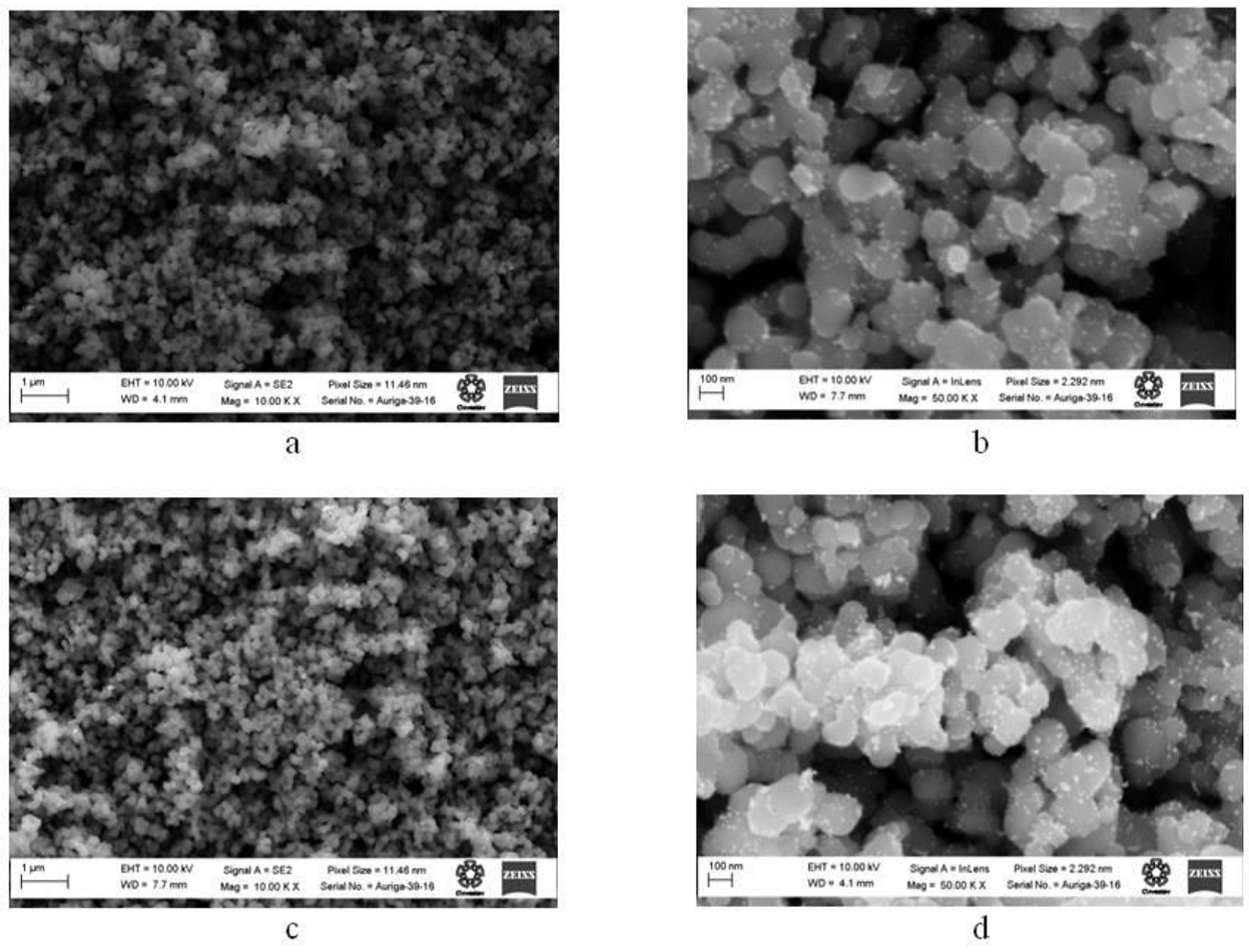 Synthesis and characterization of gold nanoparticles on titanium ...