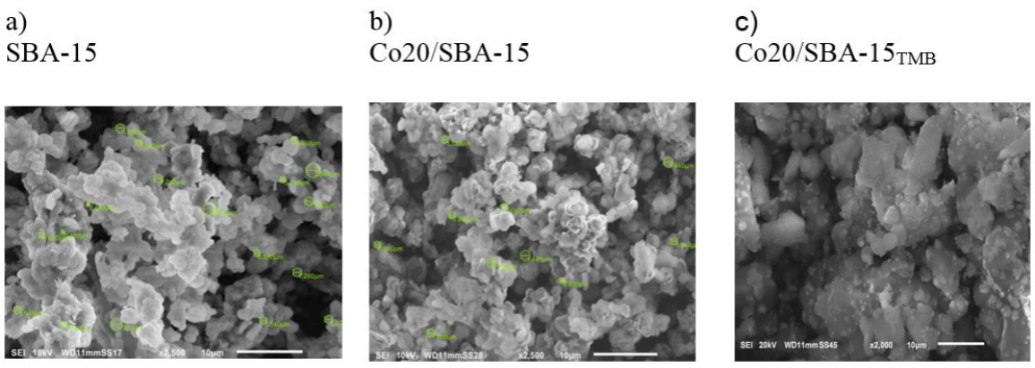 Co/SBA-15 modified with TMB in the degradation of phenol