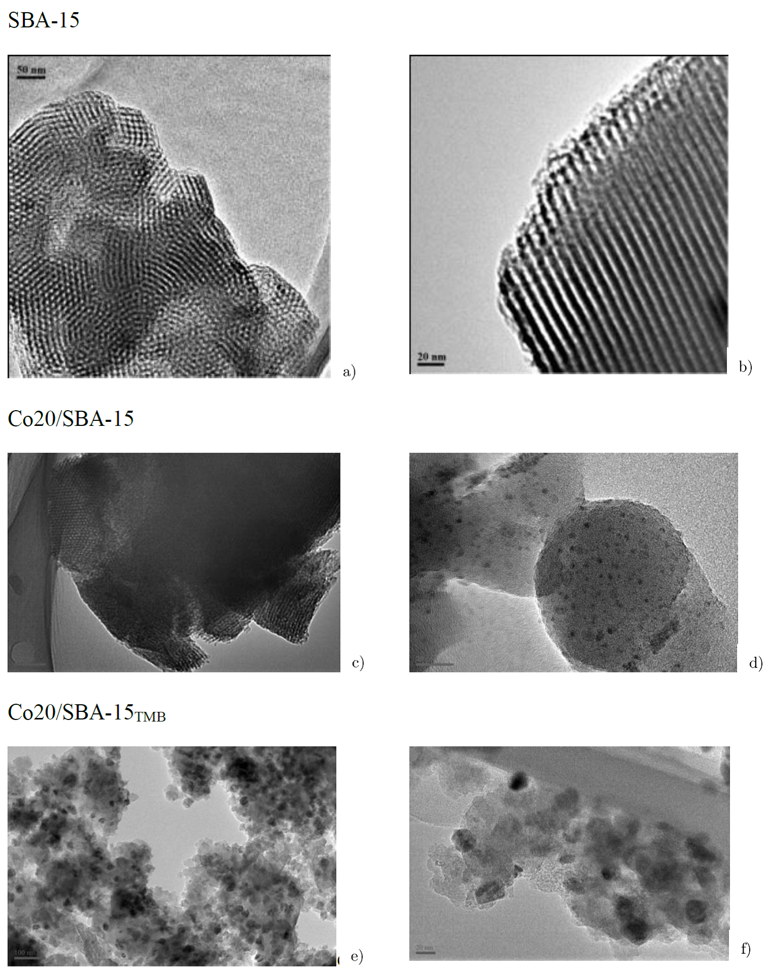 Co/SBA-15 modified with TMB in the degradation of phenol