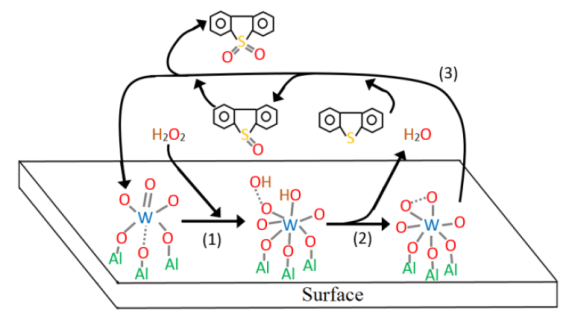 Tungsten based catalysts for oxidative desulfurization: surface species ...