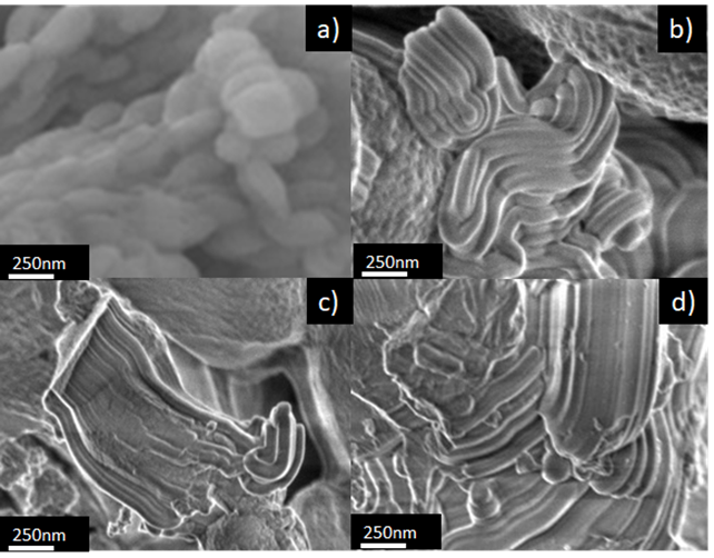 Synthesis of hybrid materials, immobilization of lipase in SBA-15 ...