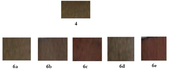 New acid dyes and their metal complexes: dyeing, thermal and antifungal ...