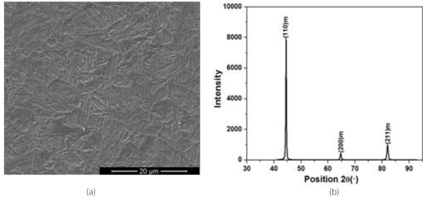 Microstructure, mechanical, ballistic property evaluation of RHA steel ...