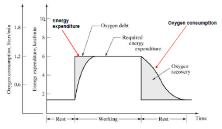Investigating the effect of the body mass index (BMI) values on the ...