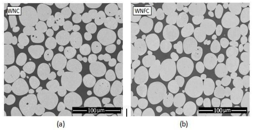The effect of fine W precipitates in matrix phase on mechanical ...