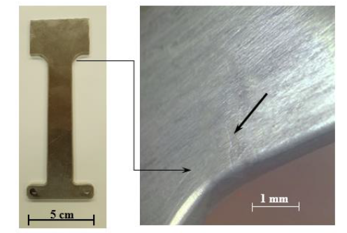 Using the linear damage summation hypothesis in determining the ...