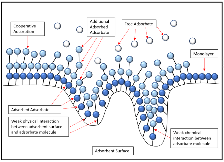 Curcumin dye adsorption in aqueous solution by carbon-based date palm ...