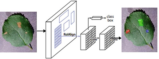 A comparative study of the deep learning-based image segmentation ...