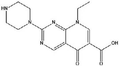 Antibacterial Activity of Pipemidic Acid ions-MgFeAl Layered Double ...