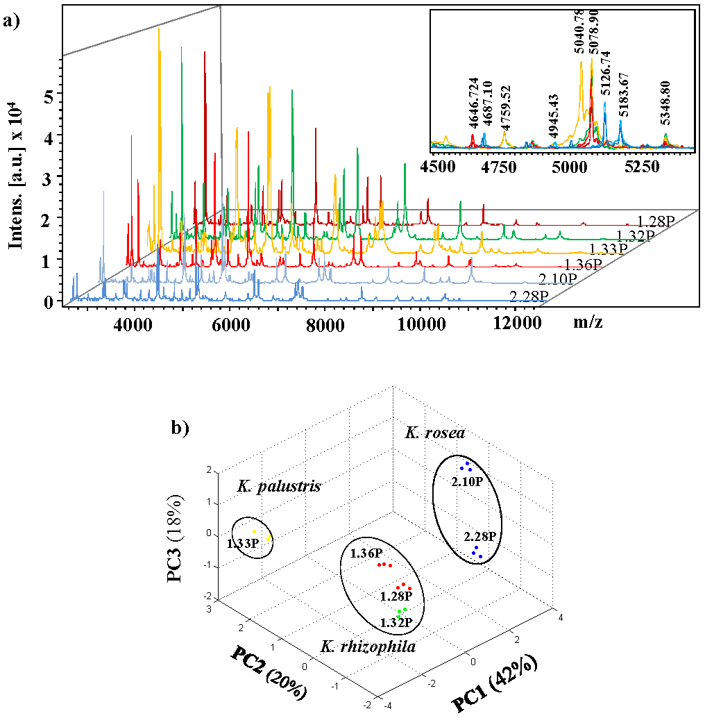 Identification by MALDI-TOF MS of Environmental Bacteria with High ...