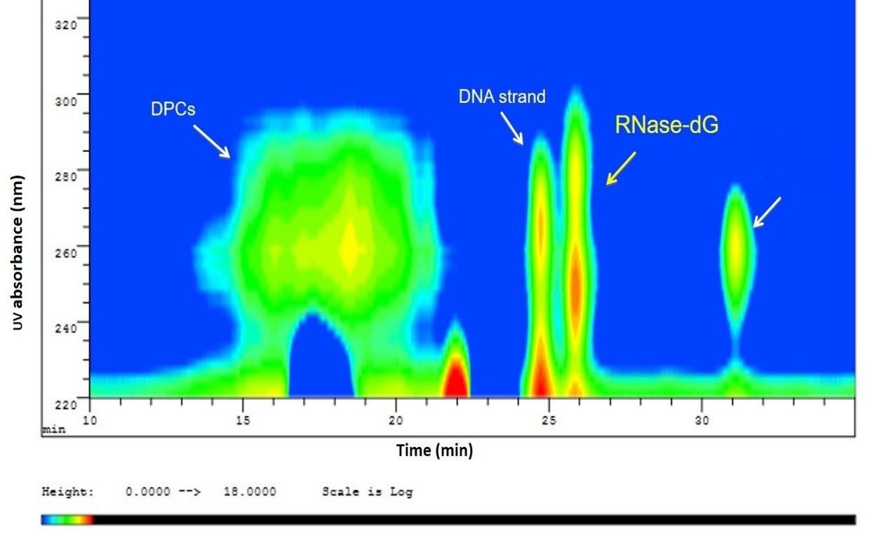 Application of Molecular Mass Spectrometry for The Structural ...