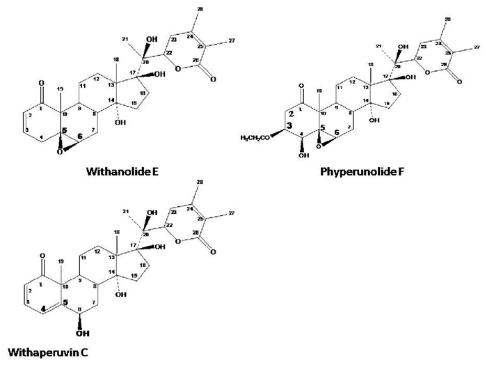 Chemical Constituents of Egyptian Withania Somnifera Leaves and Fruits ...