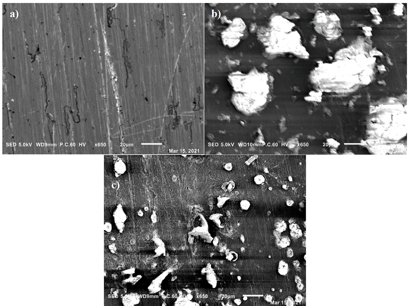 Experimental Study and Modeling of the Corrosion Inhibition of Mild ...