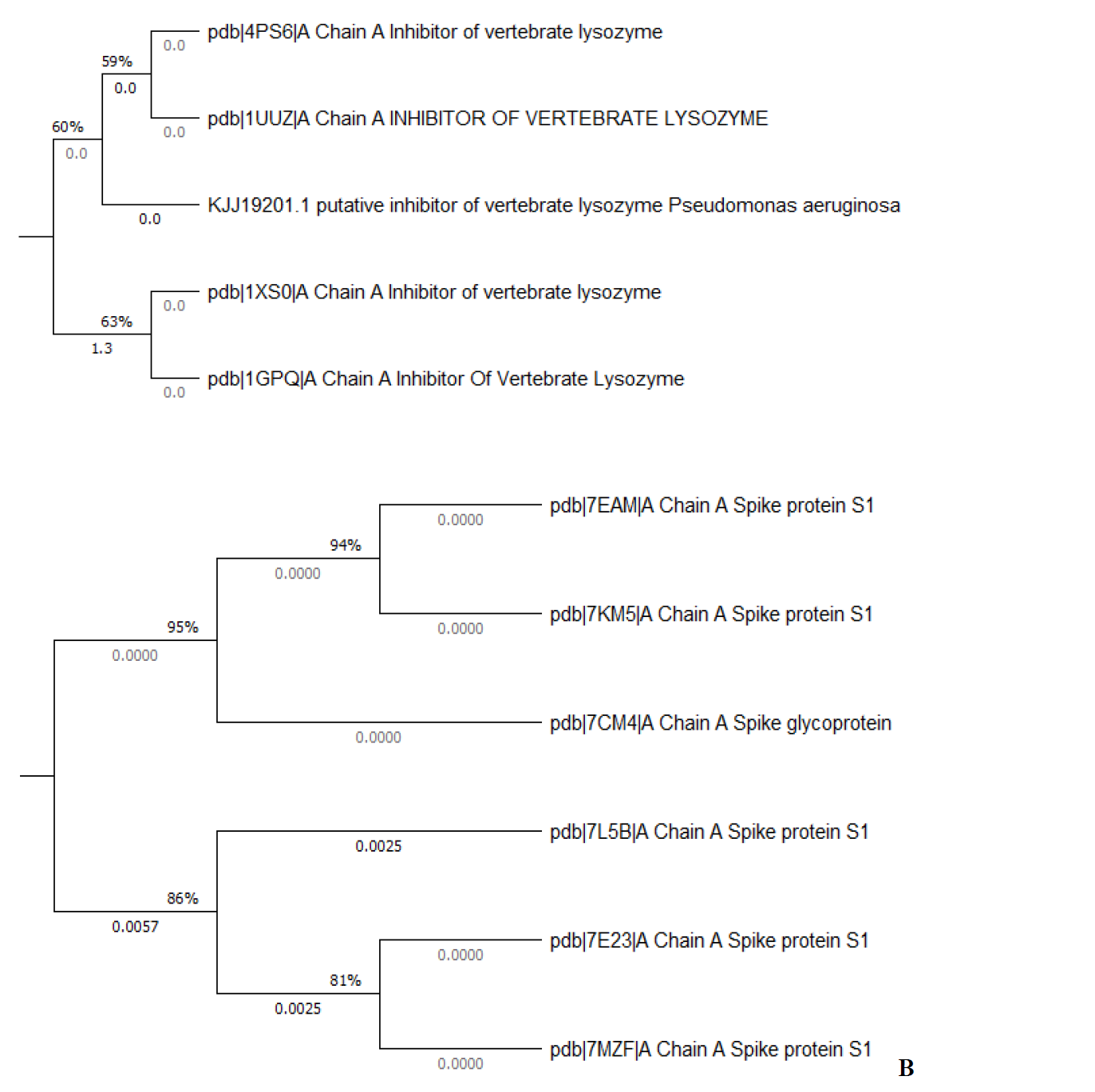 Theoretical Investigation of the Cooperation of Iminoguanidine with the ...