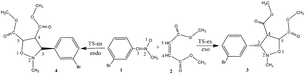 Unveiling [3 + 2] Cycloaddition Reactions of N-Methyl-C-3-Bromophenyl ...