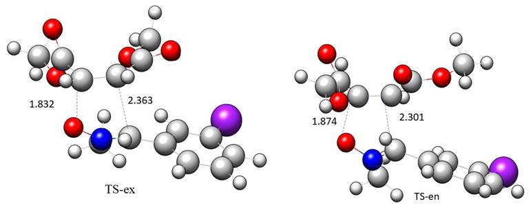 Unveiling [3 + 2] Cycloaddition Reactions of N-Methyl-C-3-Bromophenyl ...