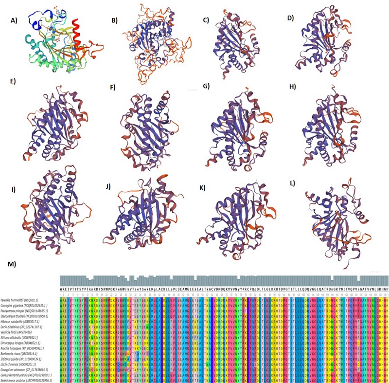 Assembly of the Cereus fernambucensis Genome, Gene Annotation, and ...