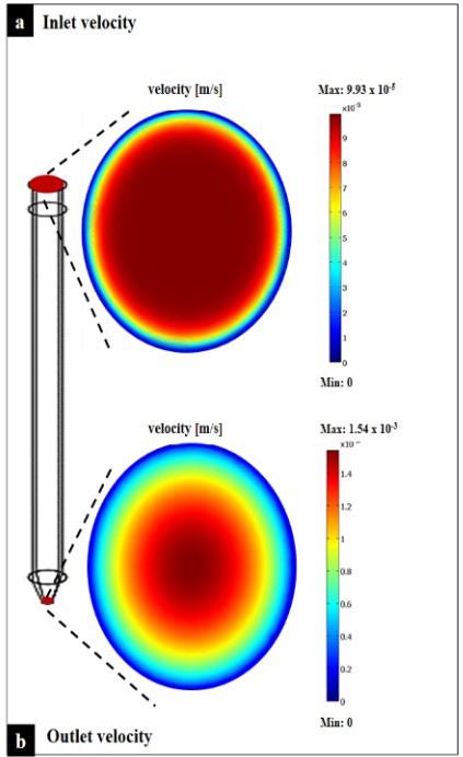 Experimental and Numerical Comparison of Dispersion and Sorption of Cr ...