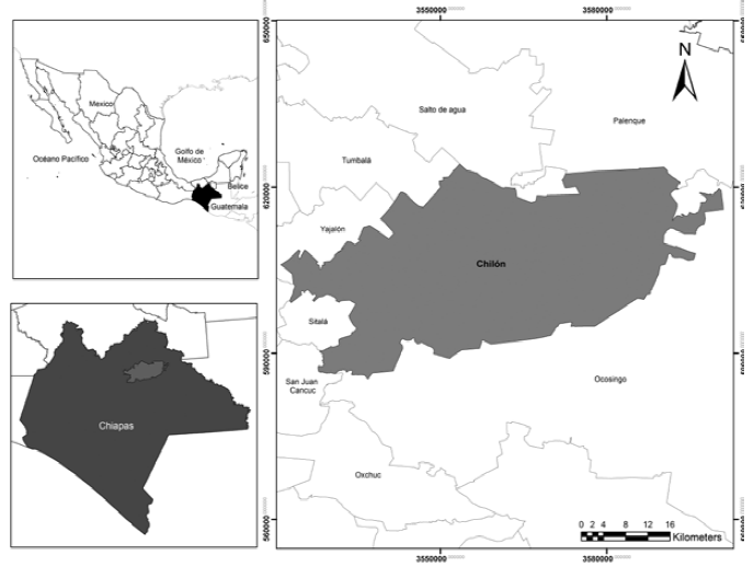 Autonomía de los pueblos indígenas latinoamericanos. Estudios de caso ...