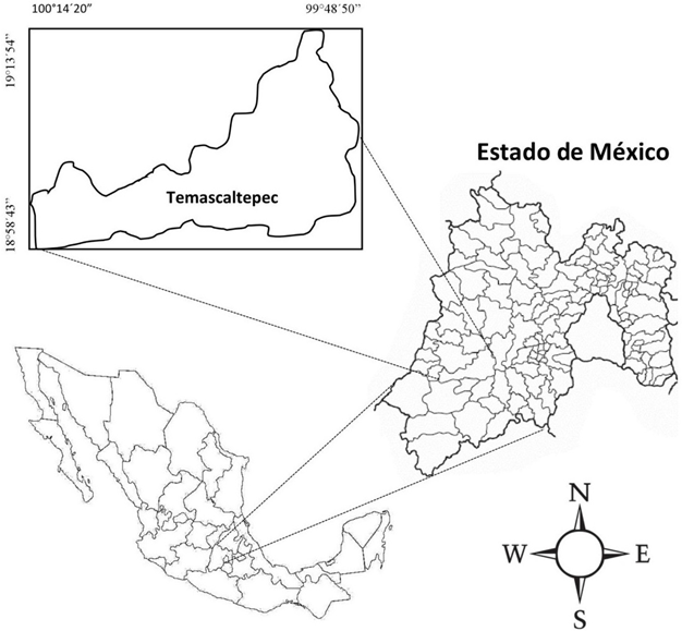Análisis y perspectivas para gestionar el turismo biocultural: una ...