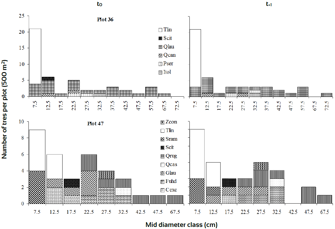 Successional trajectories and rates of change in sub-tropical Quercus ...