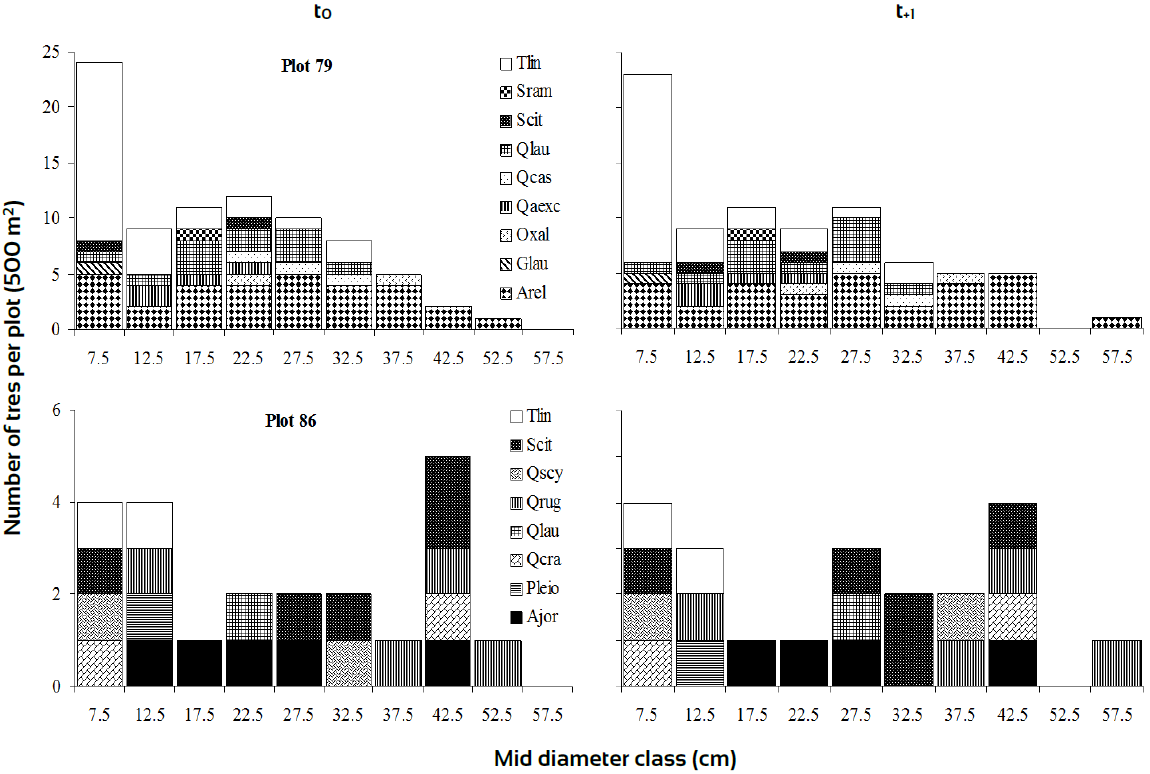 Successional trajectories and rates of change in sub-tropical Quercus ...