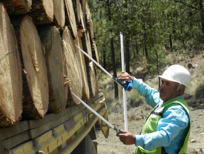 Capital humano e innovación en el proceso de integración del ...