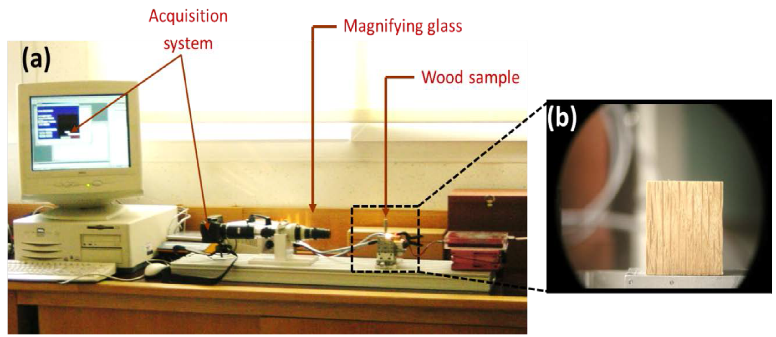 Physical properties of four ring-porous hardwood species: influence of ...