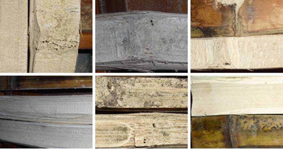 Tratamientos de preservación de Bambusa vulgaris vittata contra el ...