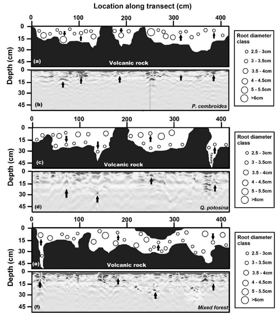 Geofísica para la prospección agrícola y forestal: guía para ...