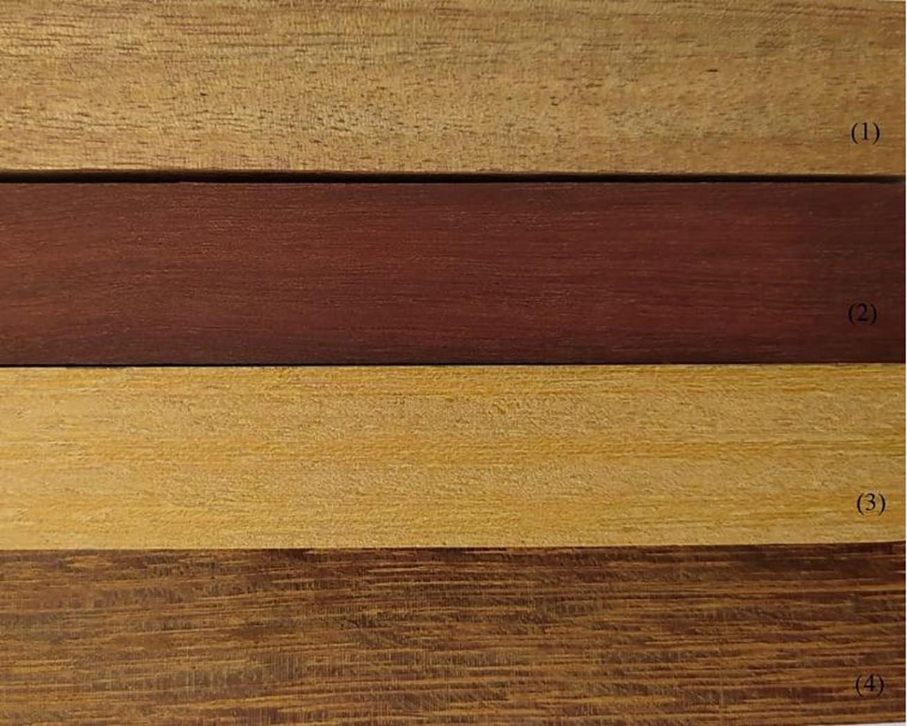 Caracterização da madeira de espécies da Amazônia