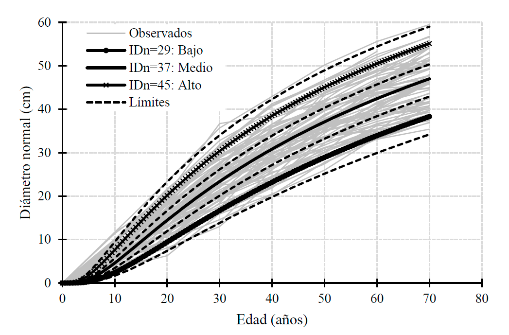Ecuación dinámica para estimar el crecimiento en diámetro de Pinus ...