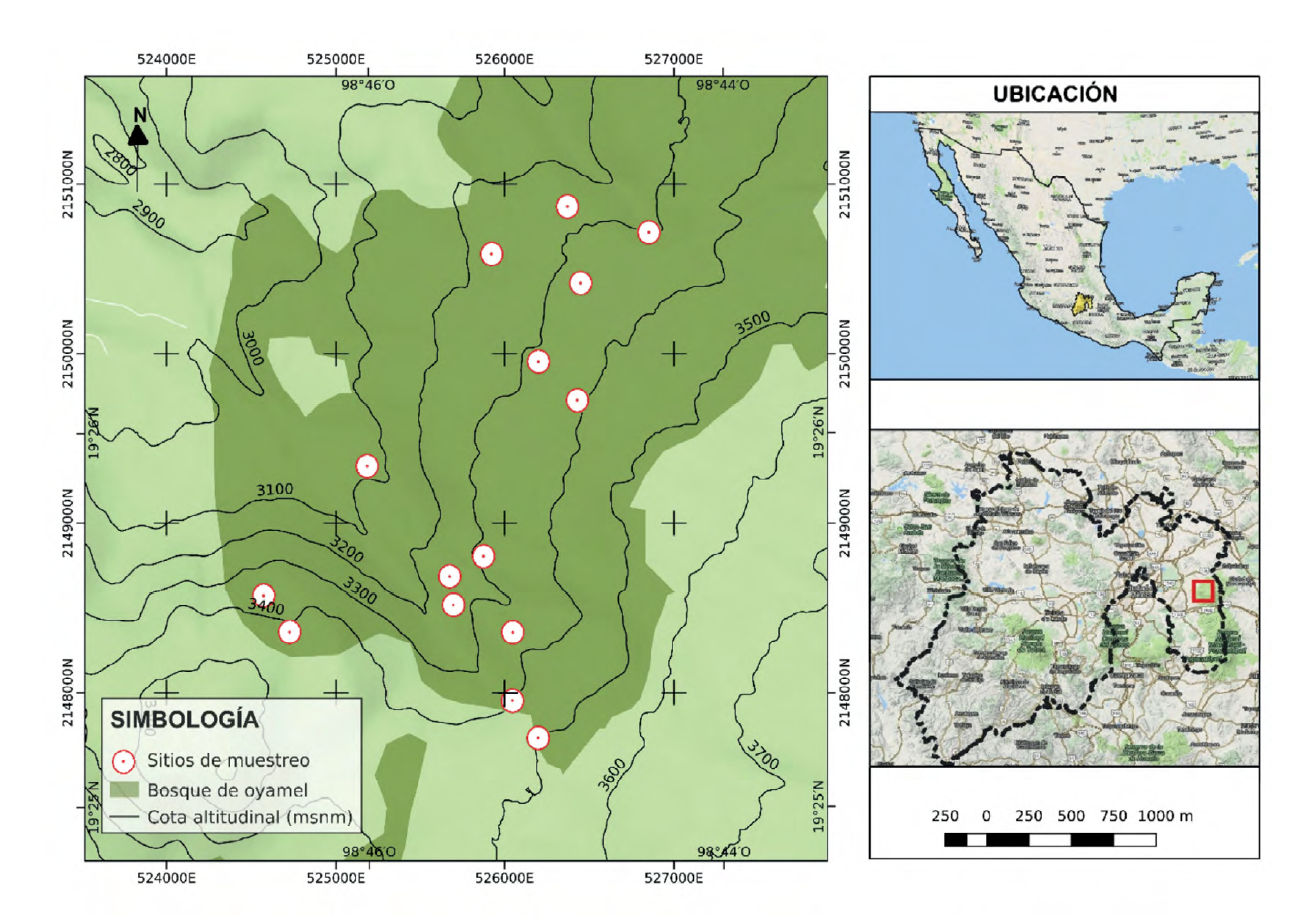 Riqueza de especies y tipos funcionales: su relación en bosques de ...