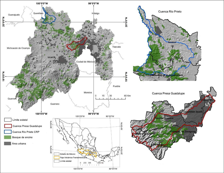 Estructura y diversidad arbórea en bosques de encino del centro de México